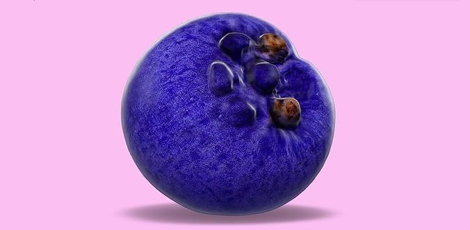 Hyperrealistic Blueberry 3D model | CGTrader