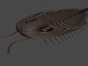 3D model Redlichiida Trilobite VR / AR / low-poly | CGTrader