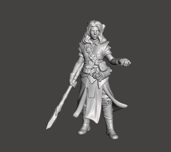 FEMALE ELF HEALER MAGE MINIATURE MODEL FOR FANTASY GAMES DND RPG 3D ...