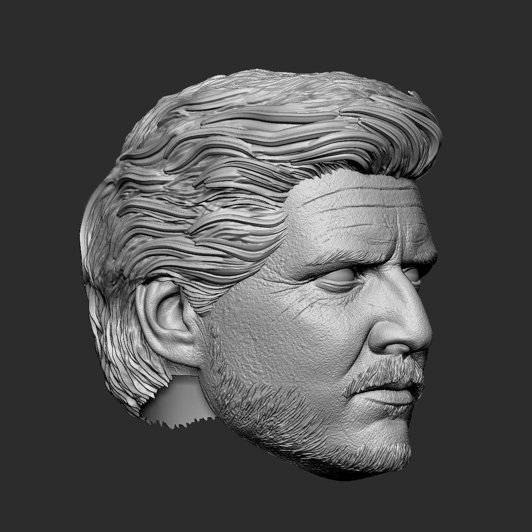 Joel Miller - Pedro Pascal - TLOU head 3D model 3D printable | CGTrader