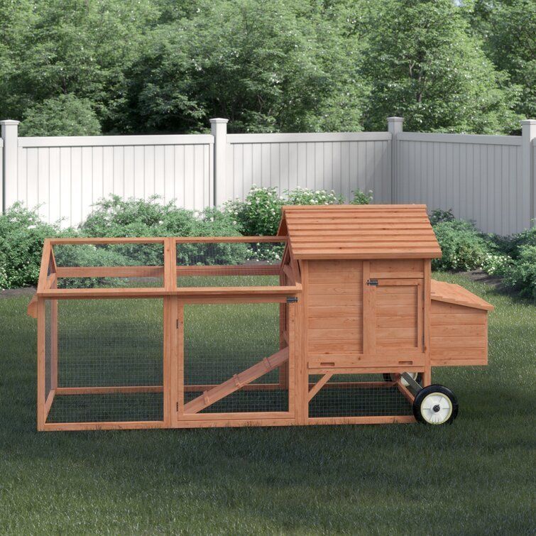 Bayer Feet Chicken Coop -Chicken Run 3D model | CGTrader