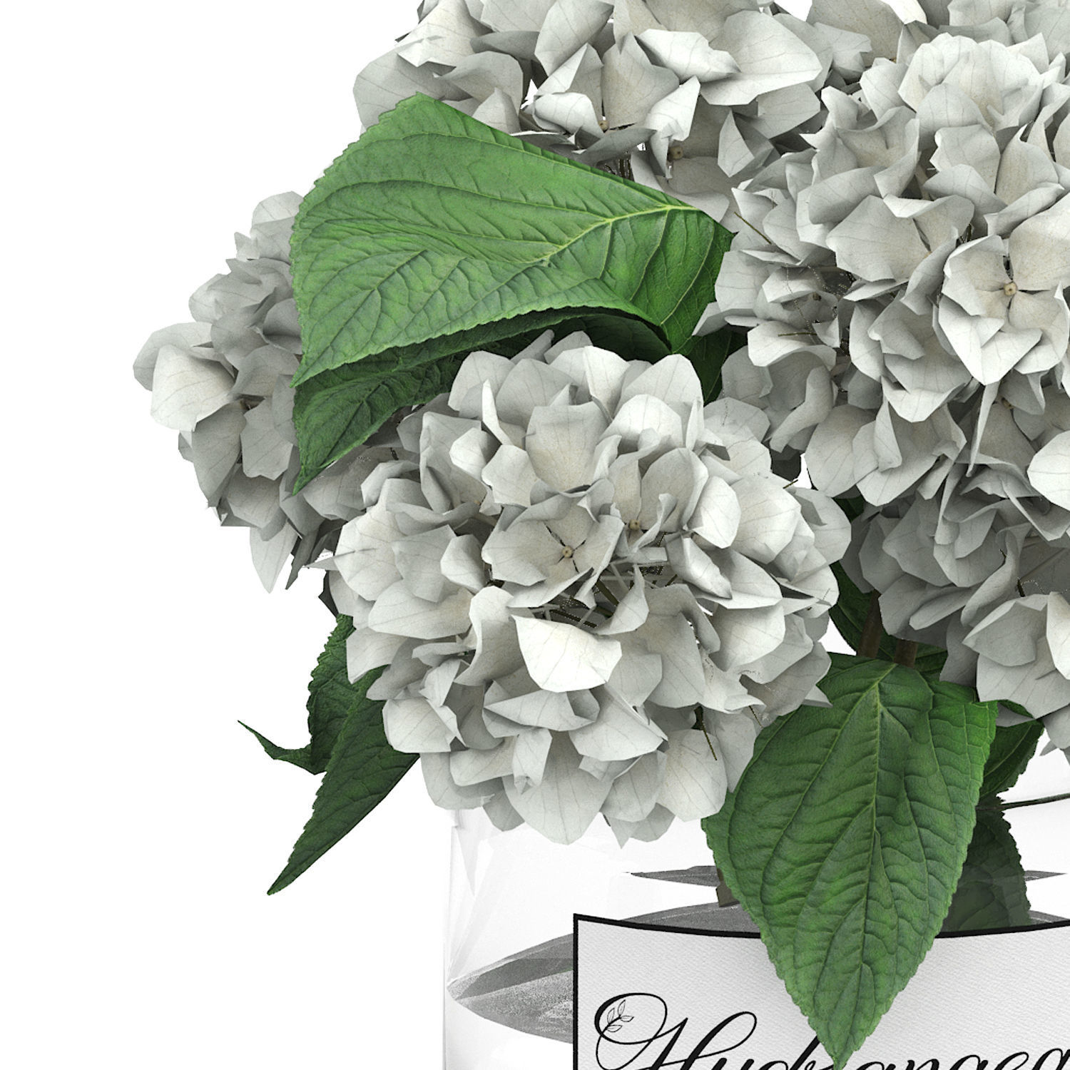 glass vase of white hydrangea flowers 3D model | CGTrader
