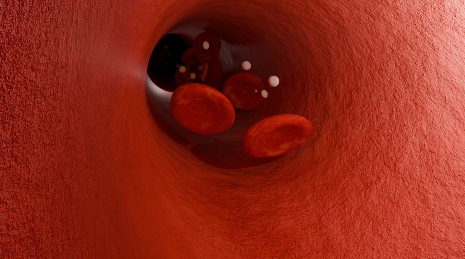 Blood cells inside vein 3D model animated | CGTrader