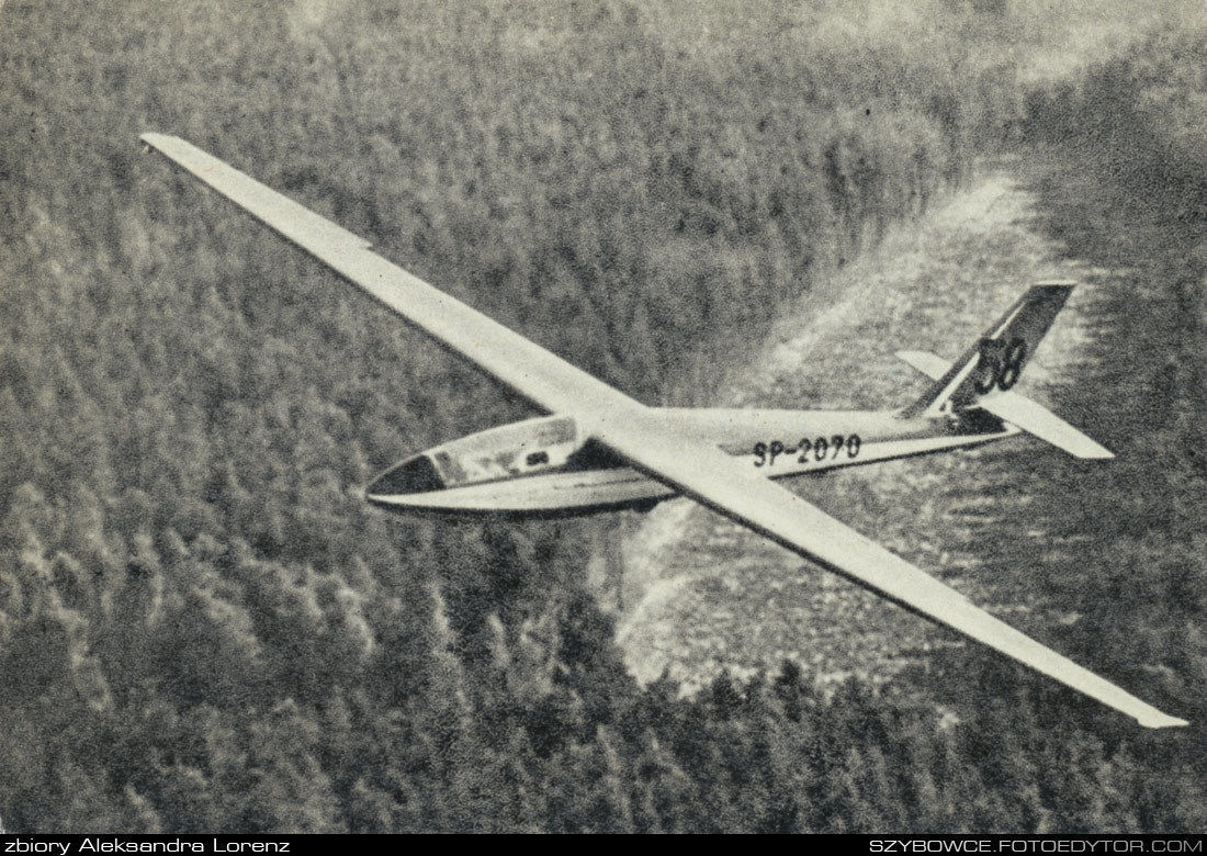 SZD-24 Foka Glider 3D model 3D printable | CGTrader