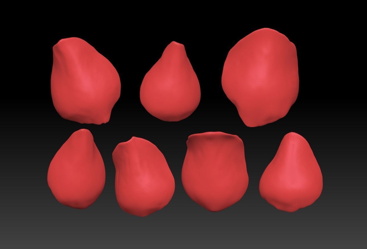 Rose petal 3D printing STL Download 3D model 3D printable | CGTrader
