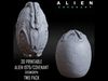 3D PRINTABLE ALIEN EGG 1979 COVENANT FLAT BOTTOM TWO PACK 3D model 3D ...