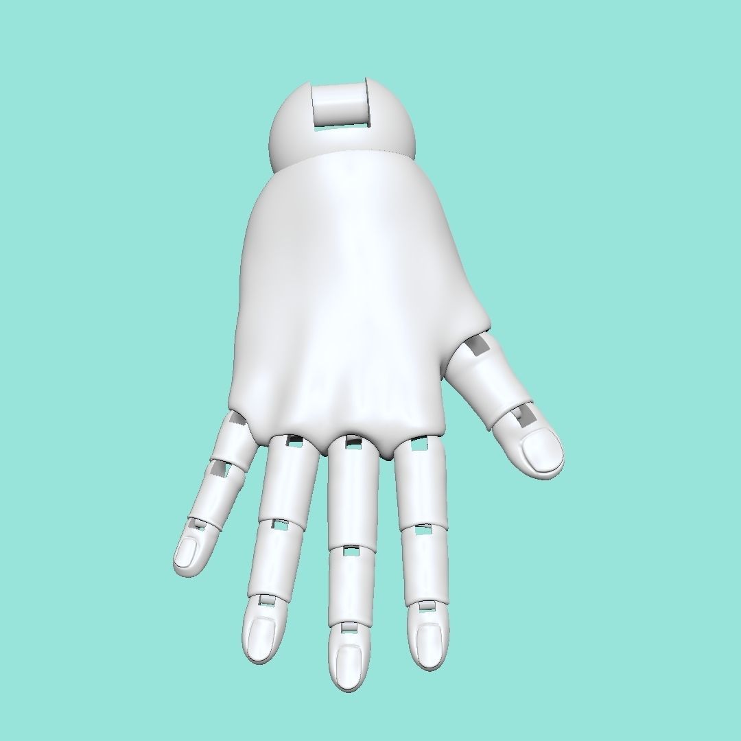 Anya Atelier - Basic BJD Jointed Hand 3d print file 3D model 3D printable | CGTrader