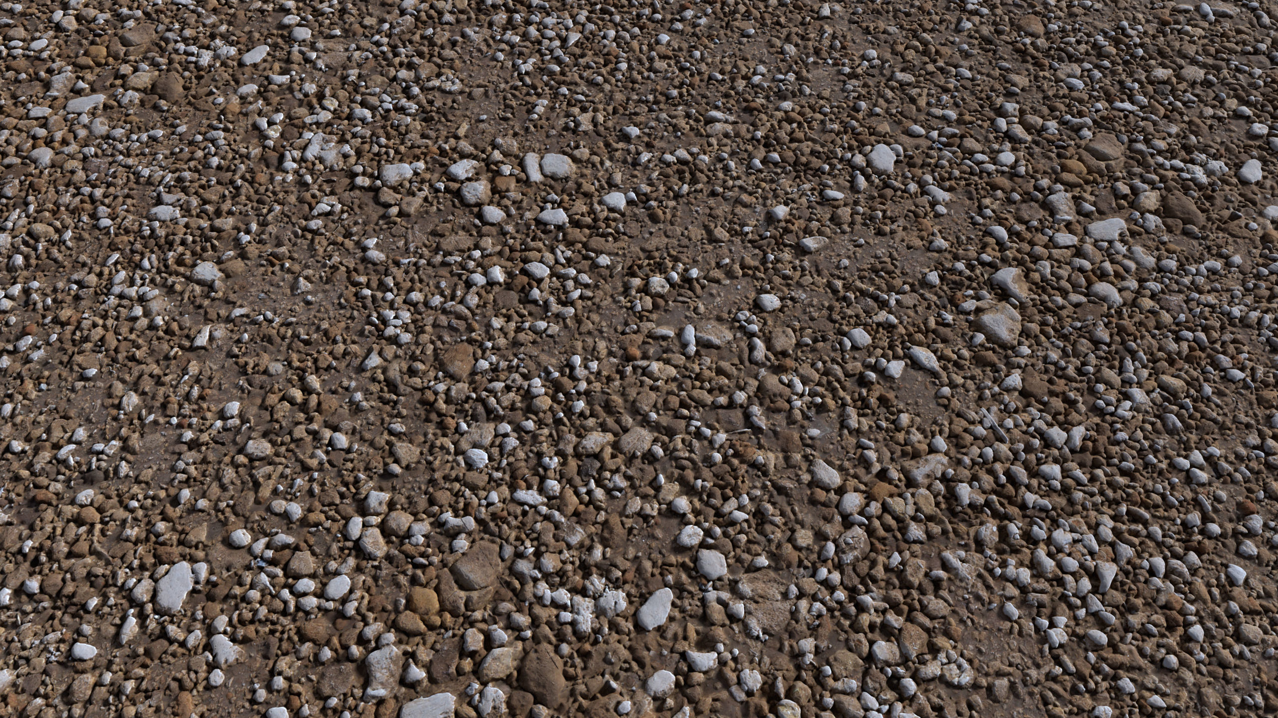 Texture Muddy Gravel Terrain seamless PBR texture VR / AR / low-poly ...