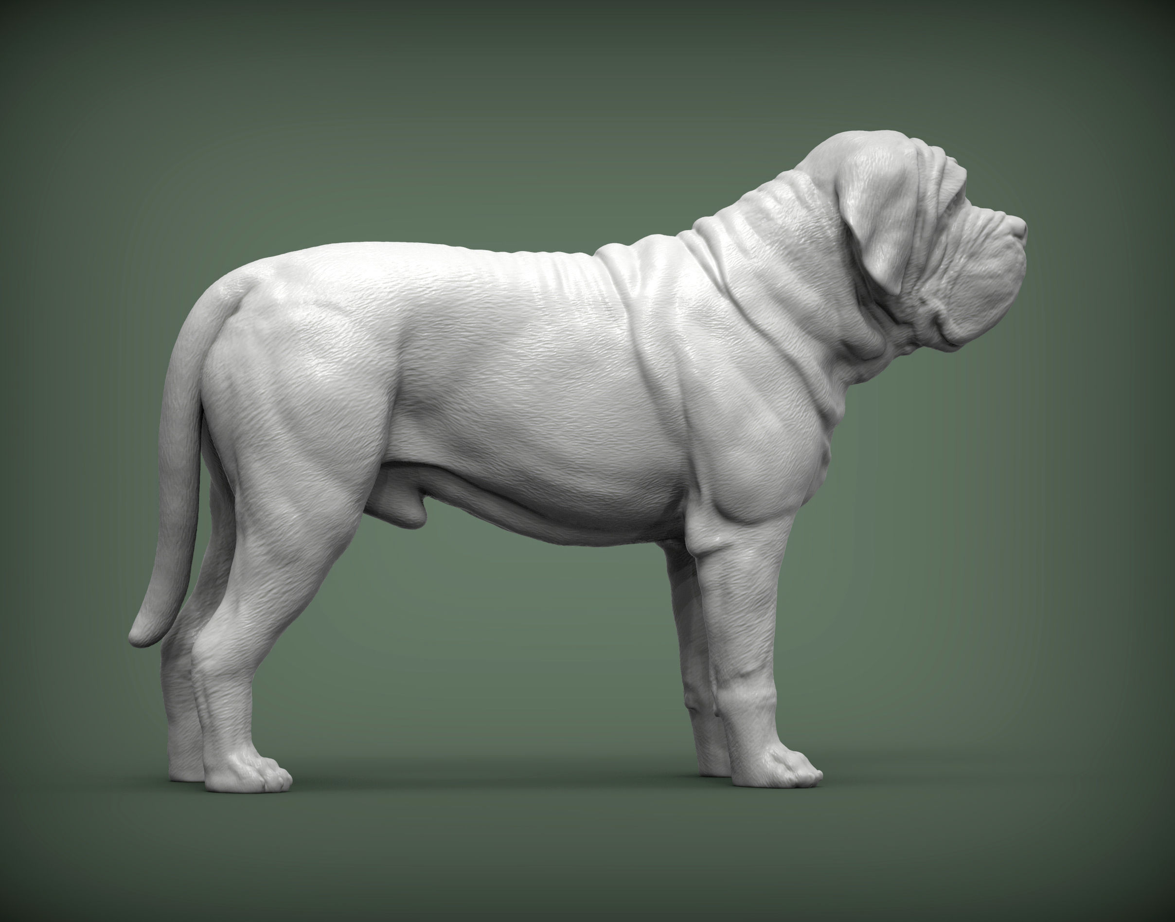 Mastiff stands 3D model 3D printable | CGTrader