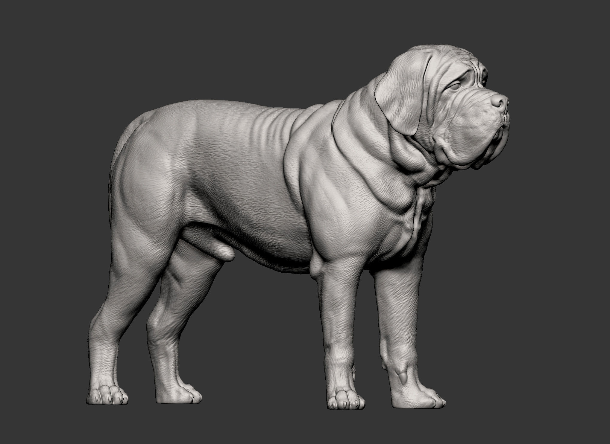 Mastiff stands 3D model 3D printable | CGTrader