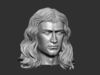 Isaac Newton Head 3D model 3D printable | CGTrader