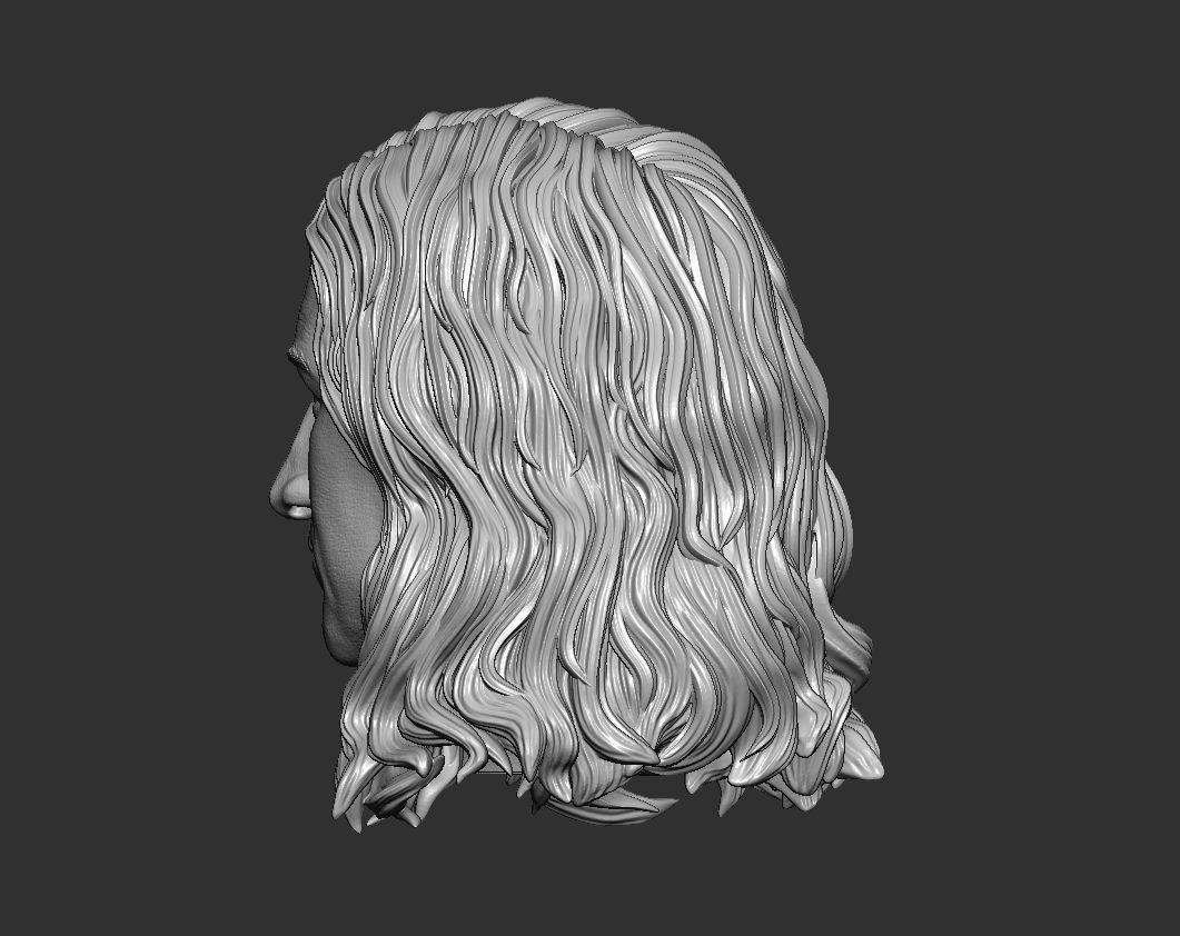 Isaac Newton Head 3D model 3D printable | CGTrader