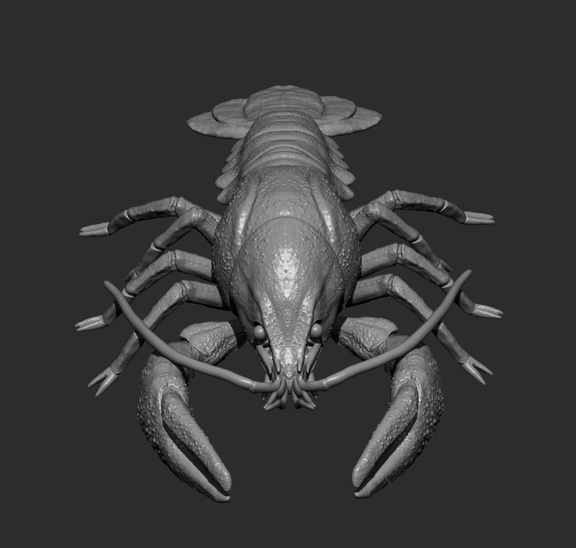 Crayfish 3D print model 3D model 3D printable | CGTrader