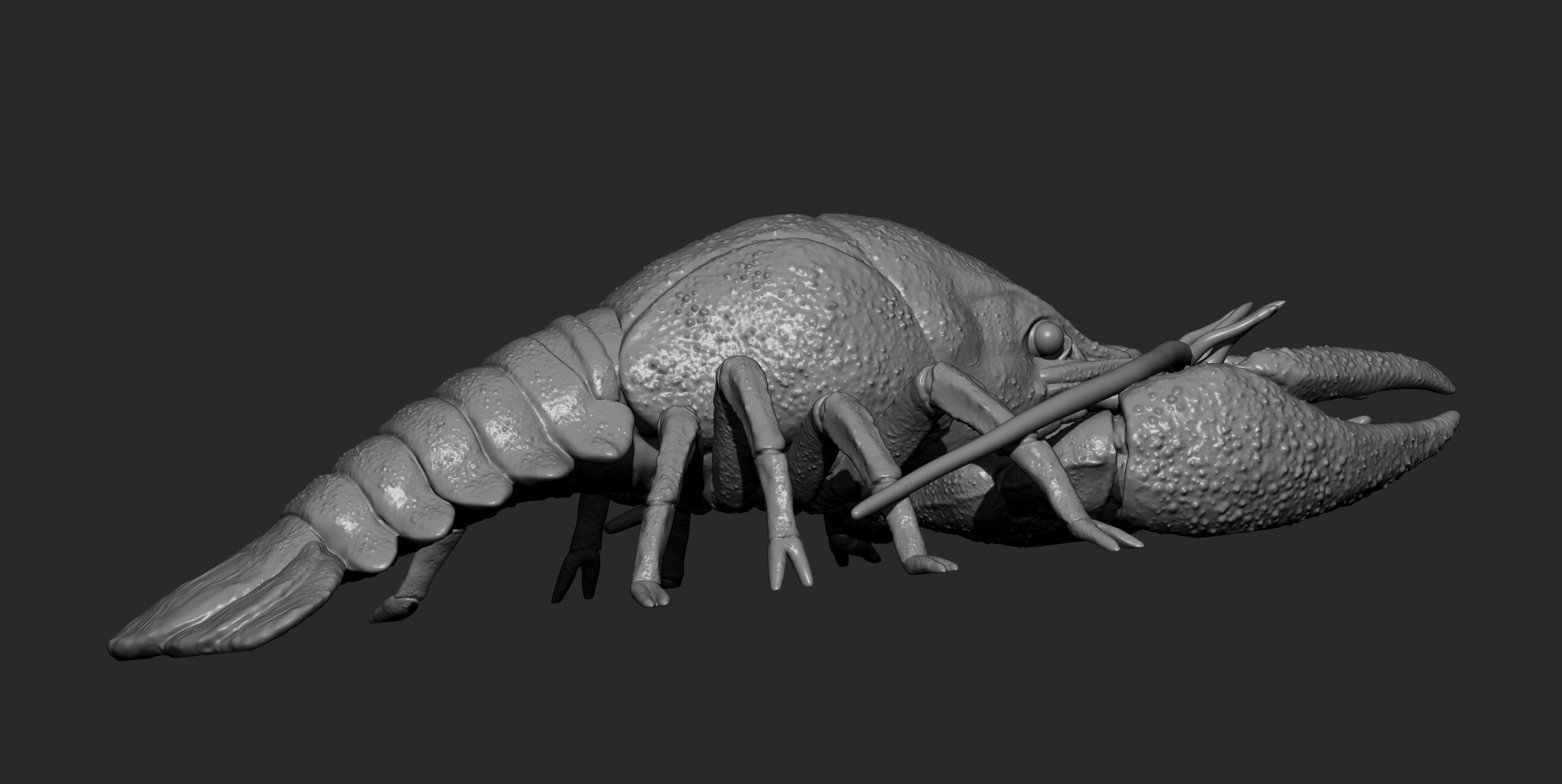 Crayfish 3D print model 3D model 3D printable | CGTrader