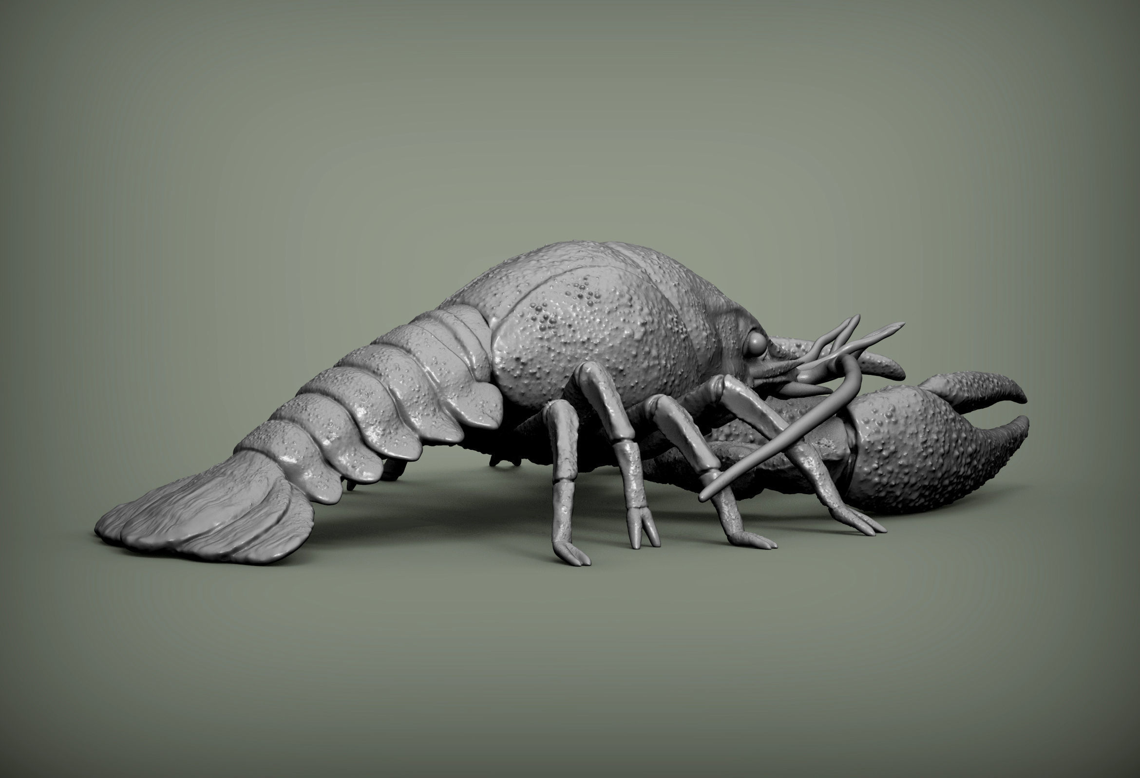 Crayfish 3D print model 3D model 3D printable | CGTrader