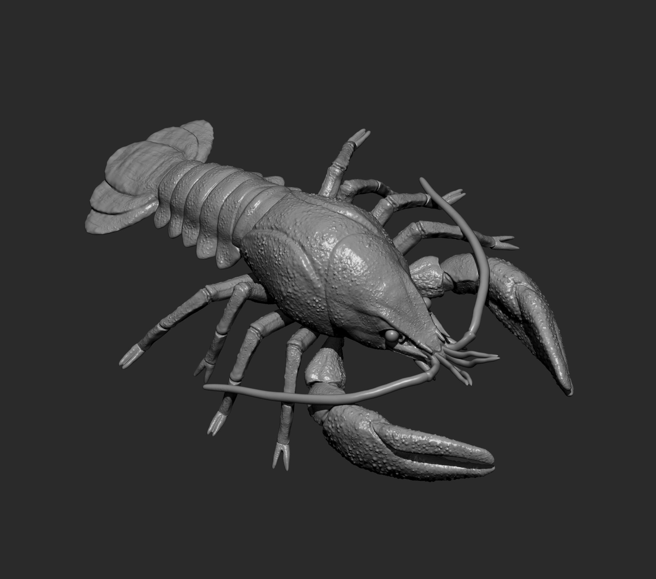 Crayfish 3D print model 3D model 3D printable | CGTrader