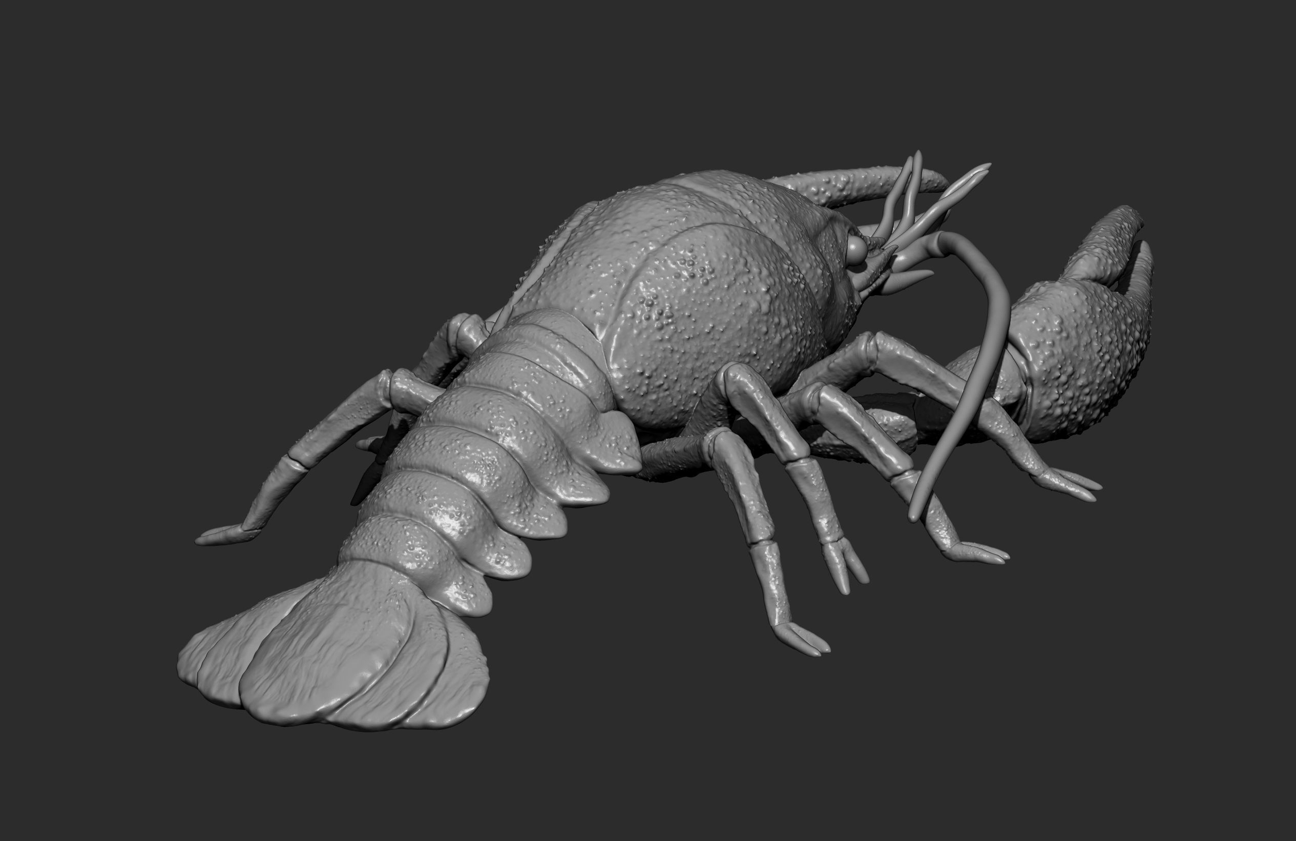 Crayfish 3D print model 3D model 3D printable | CGTrader