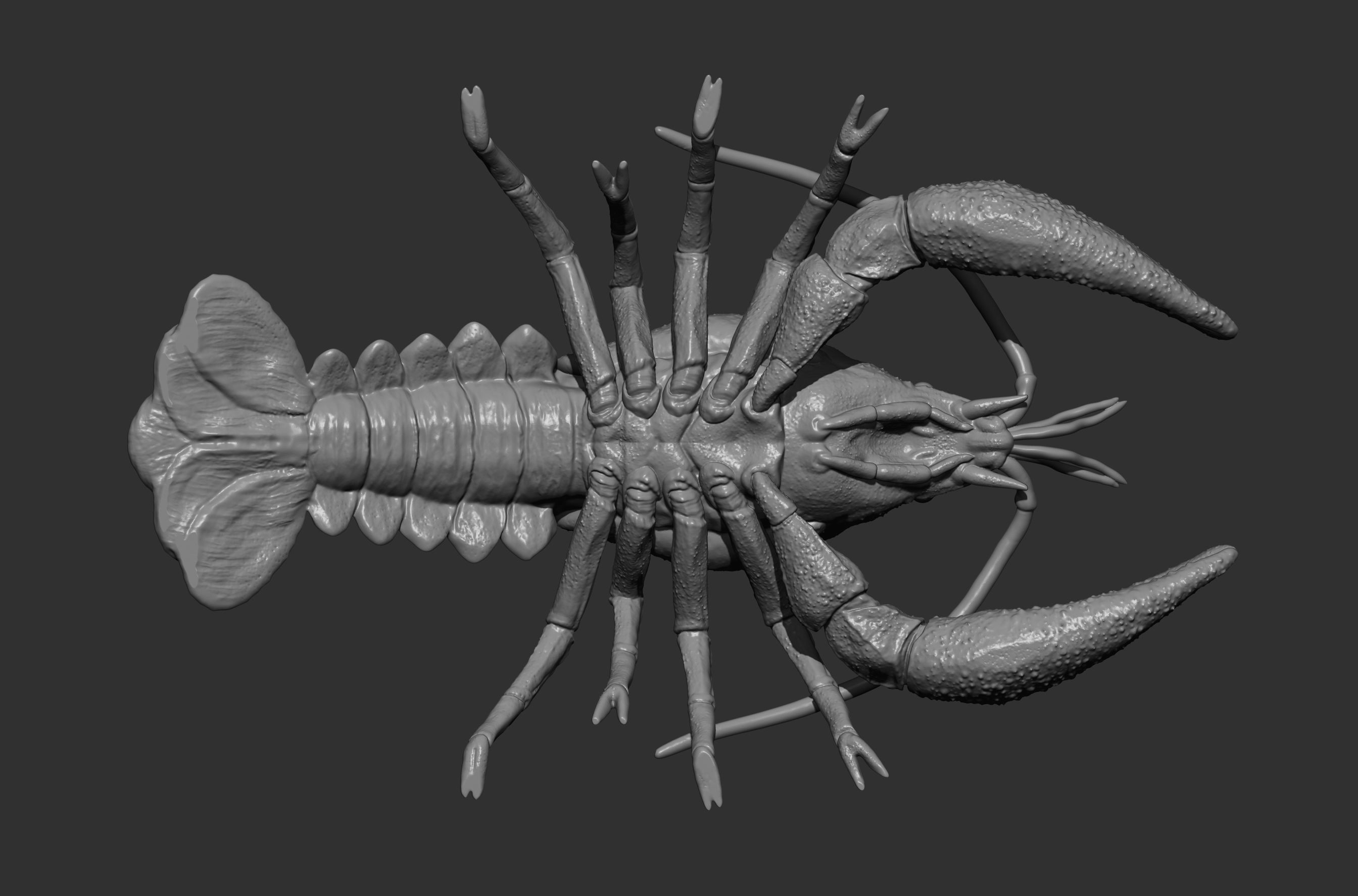 Crayfish 3D print model 3D model 3D printable | CGTrader