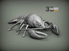 Crayfish 3D print model 3D model 3D printable | CGTrader