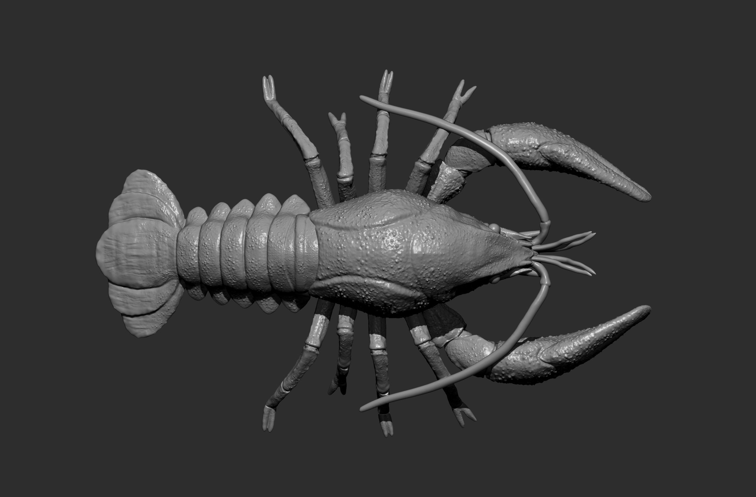 Crayfish 3D print model 3D model 3D printable | CGTrader