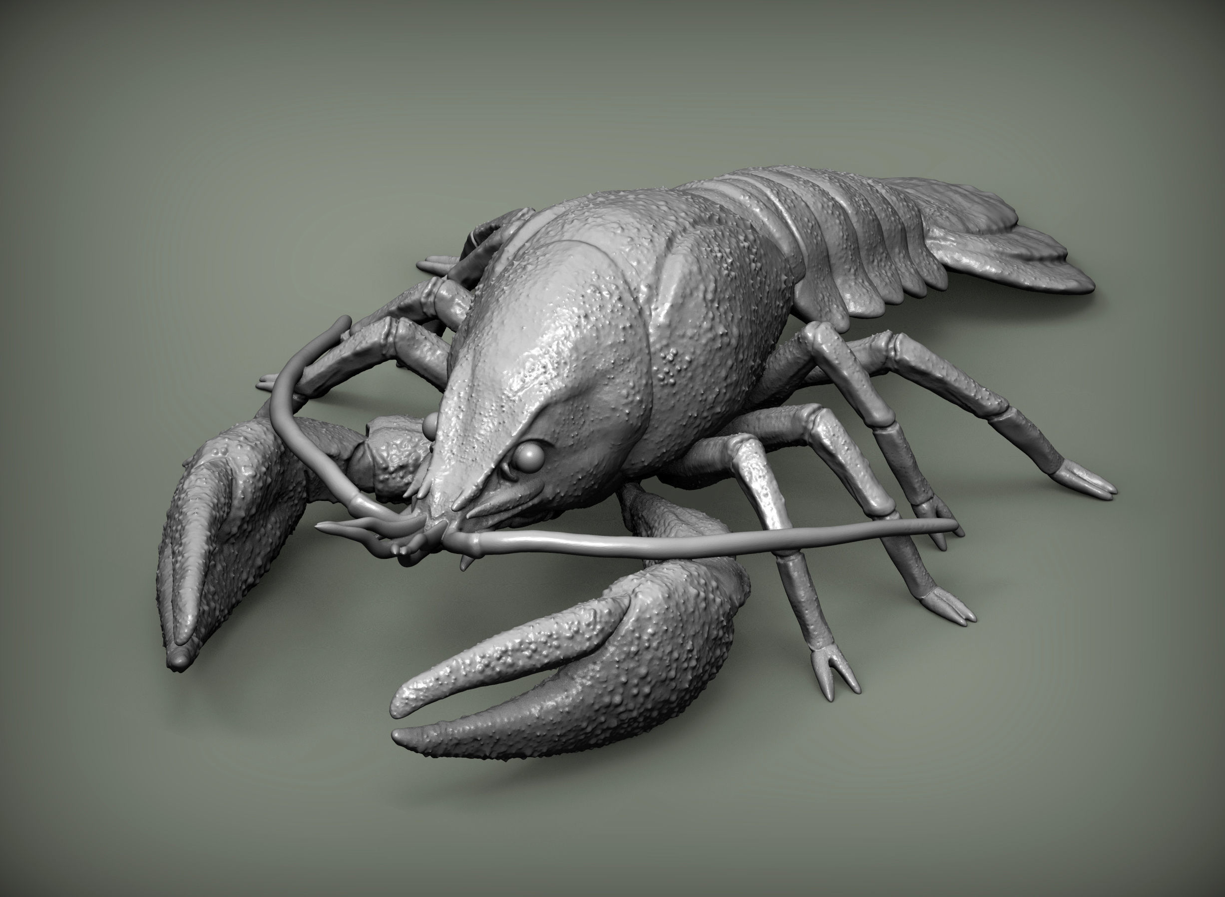 Crayfish 3D print model 3D model 3D printable | CGTrader