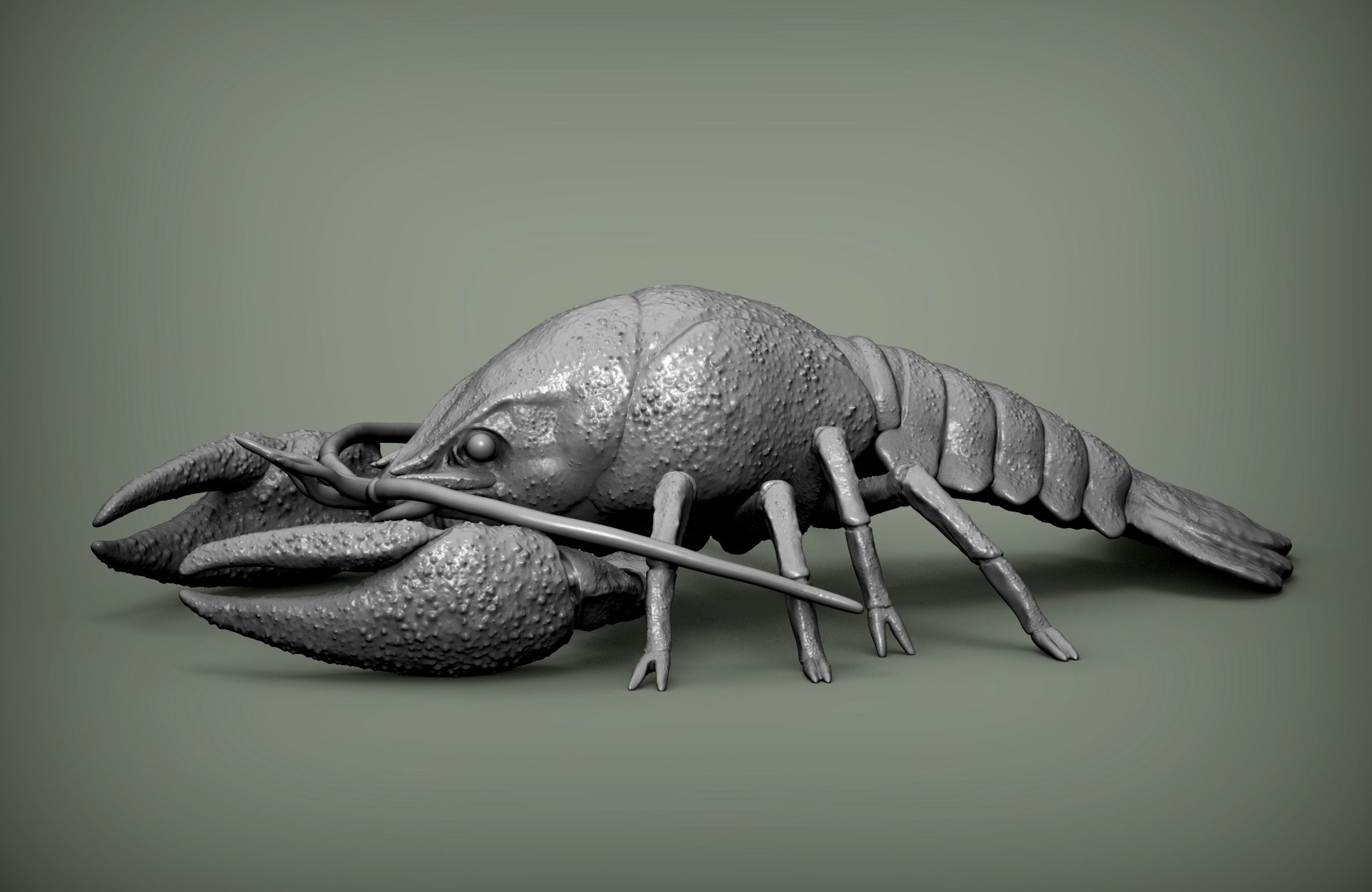 Crayfish 3D print model 3D model 3D printable | CGTrader
