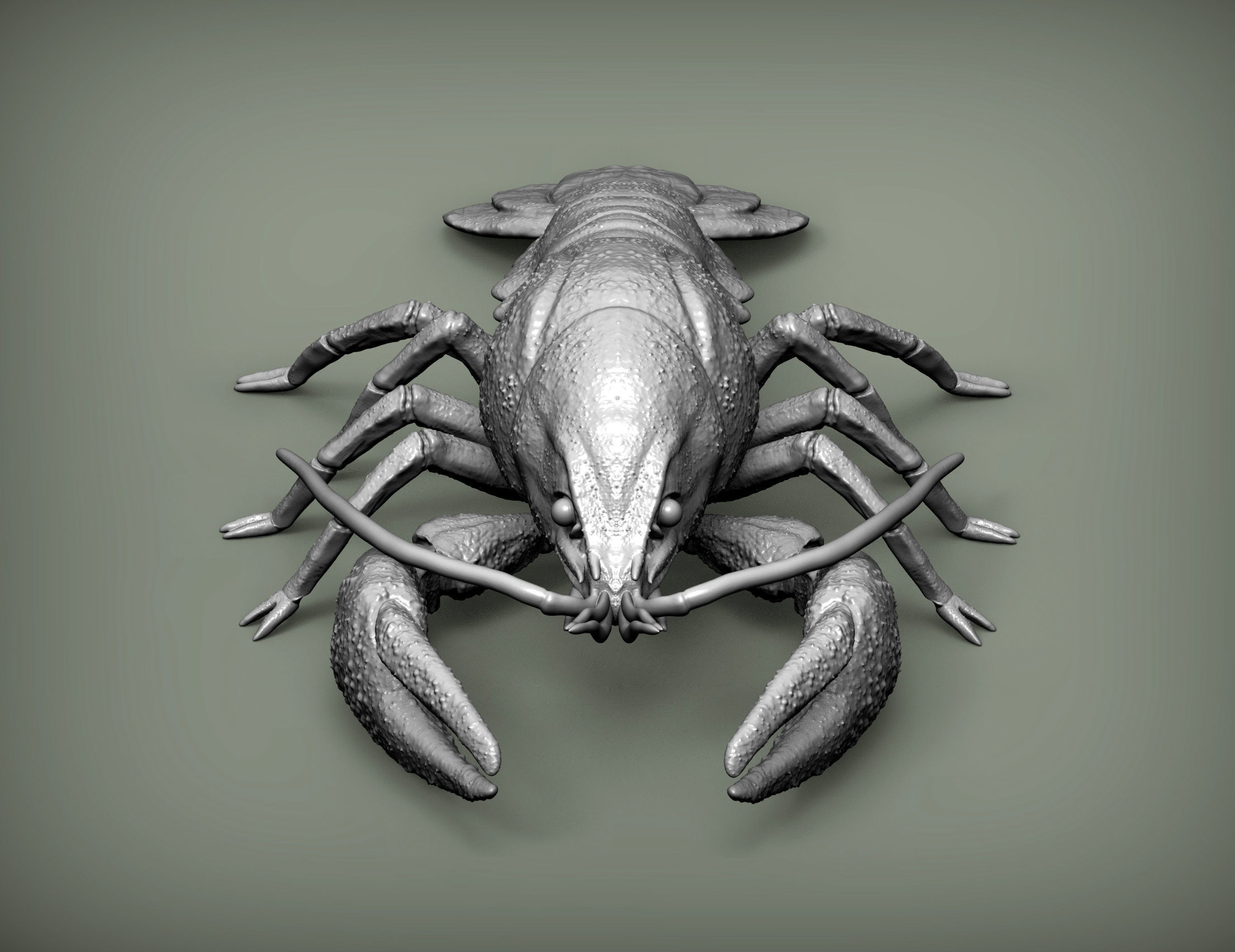 Crayfish 3D print model 3D model 3D printable | CGTrader
