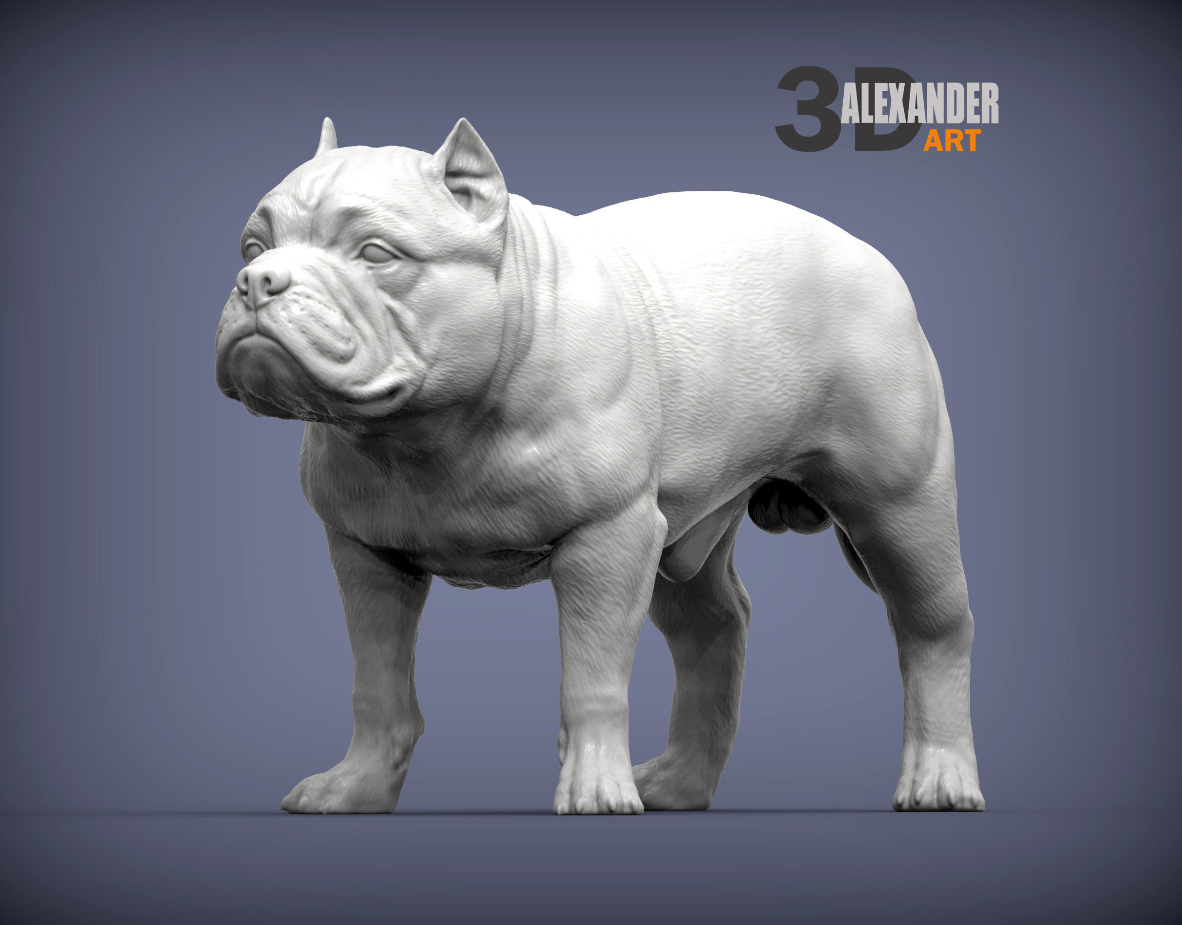 American Bully standing 3D model 3D printable | CGTrader