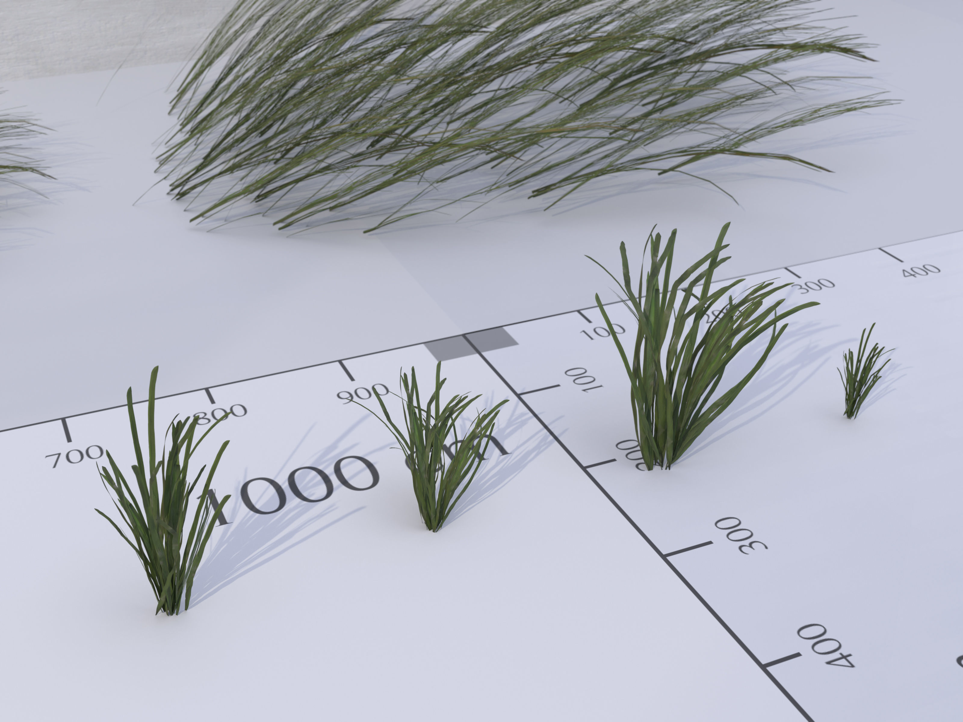 3D model Nature Assets - Ocean Plants VR / AR / low-poly | CGTrader