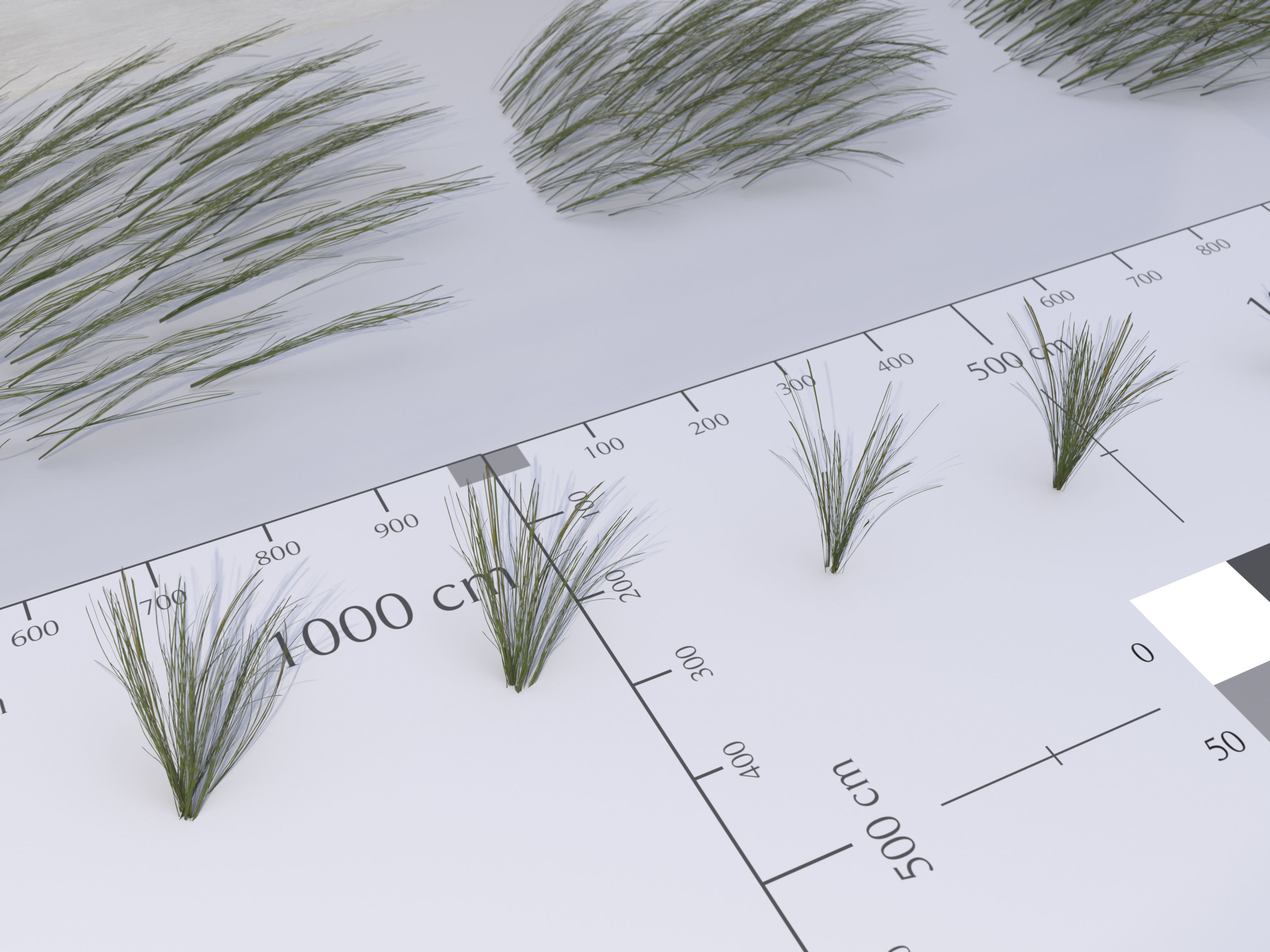 3D model Nature Assets - Ocean Plants VR / AR / low-poly | CGTrader