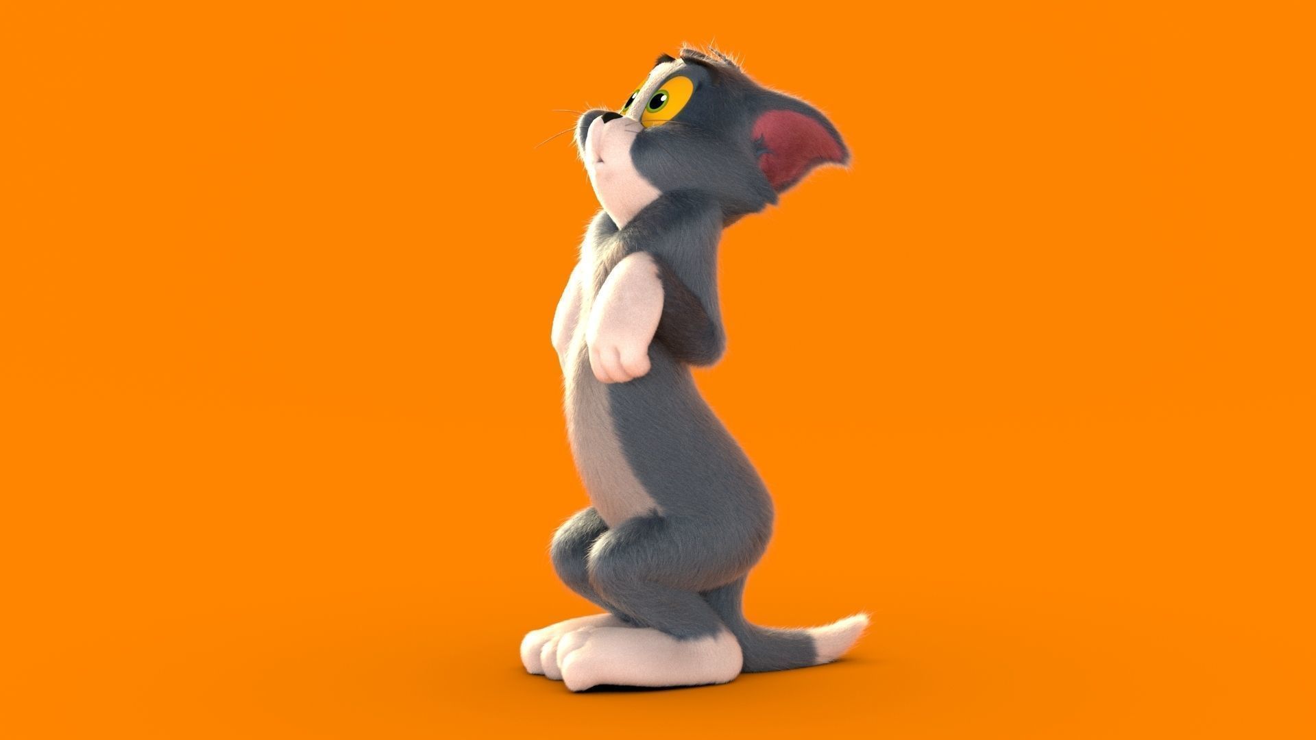 Tom Free Rigged Free High-poly 3D model free VR / AR / low-poly Texture ...