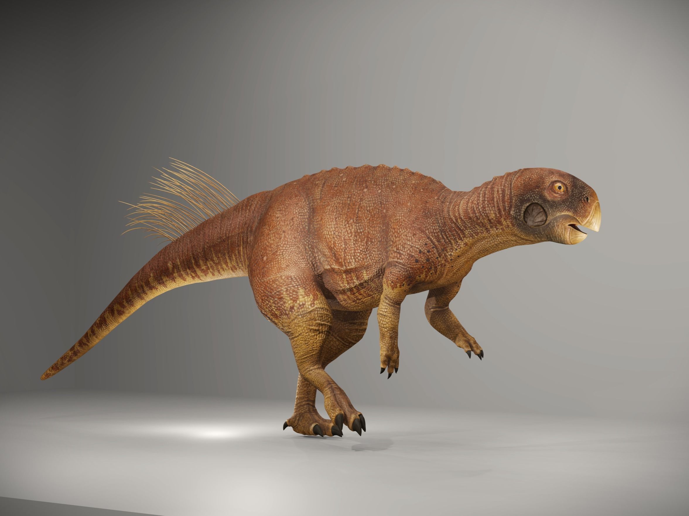 3D model Realistic Psittacosaurus VR / AR / low-poly | CGTrader