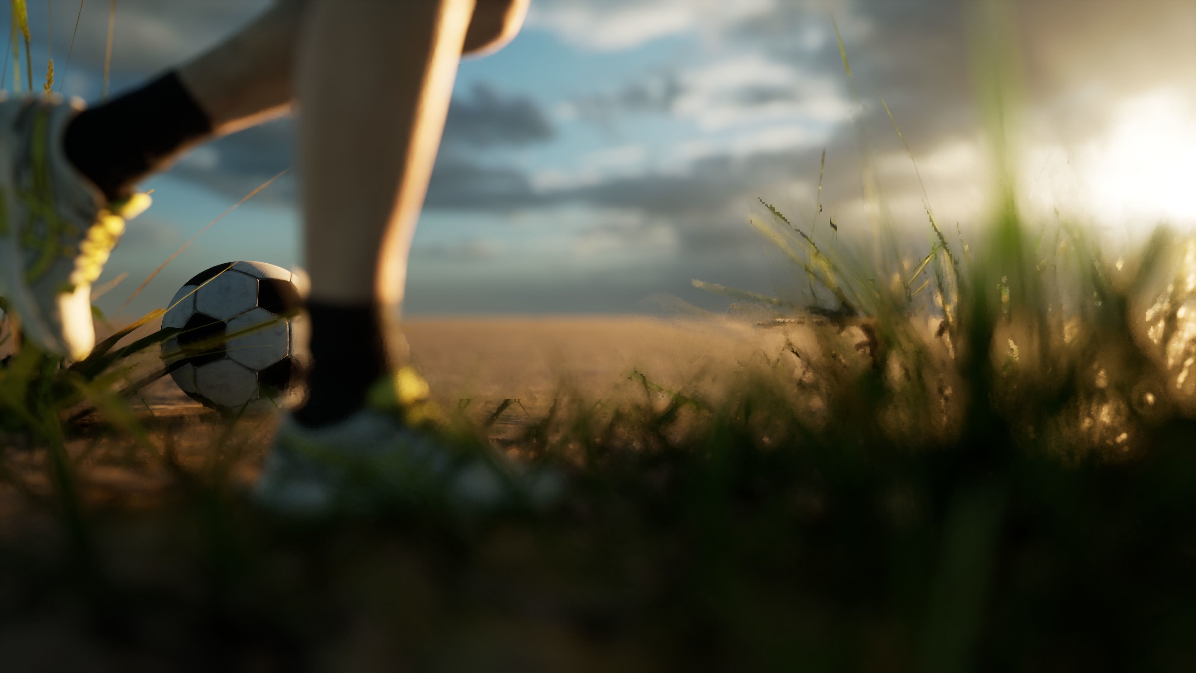 3D model Football animation scene VR / AR / low-poly | CGTrader