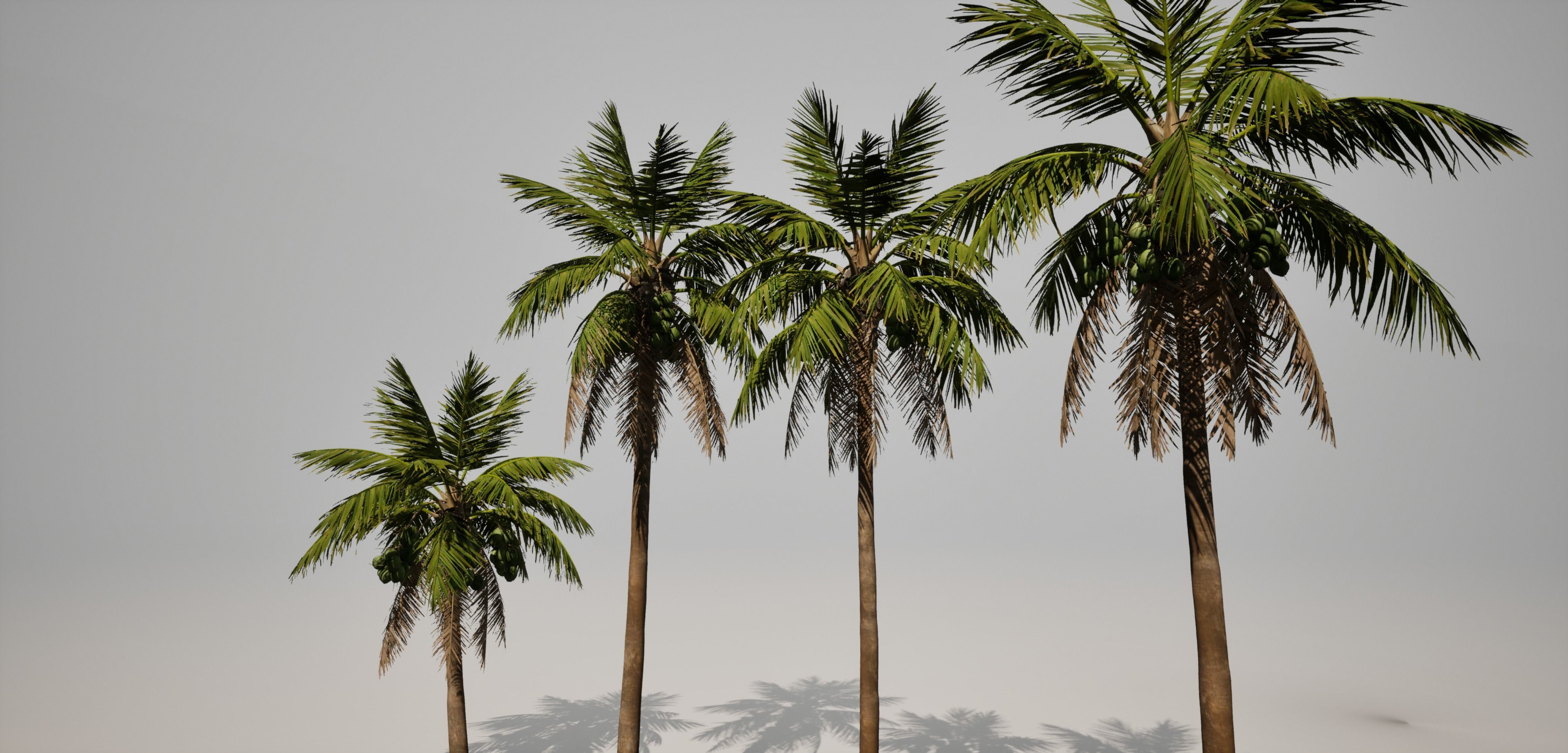 3D model Palm Tree 3D Models Low-poly Tropical Tree VR / AR / low-poly ...