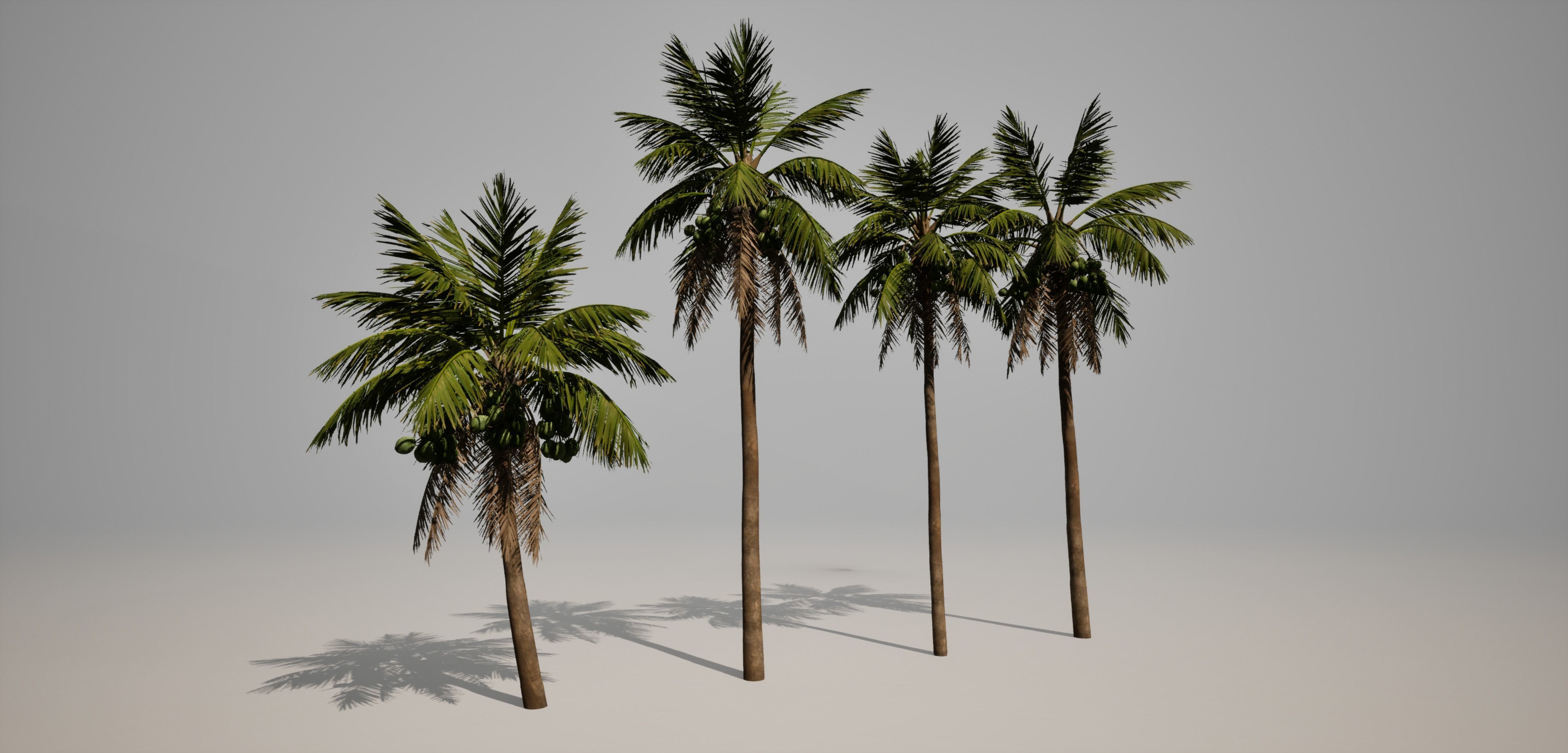 3D model Palm Tree 3D Models Low-poly Tropical Tree VR / AR / low-poly ...