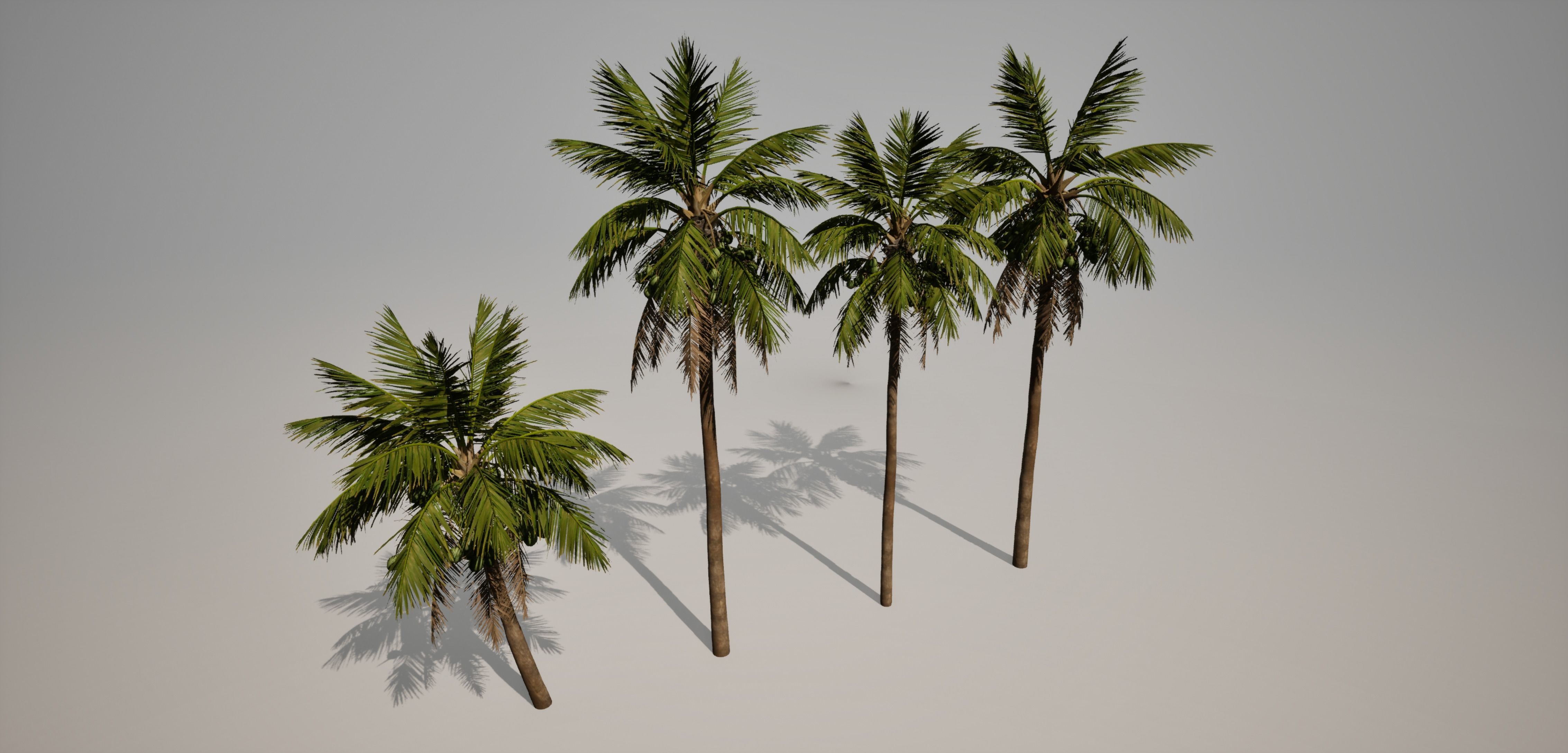 3D model Palm Tree 3D Models Low-poly Tropical Tree VR / AR / low-poly ...