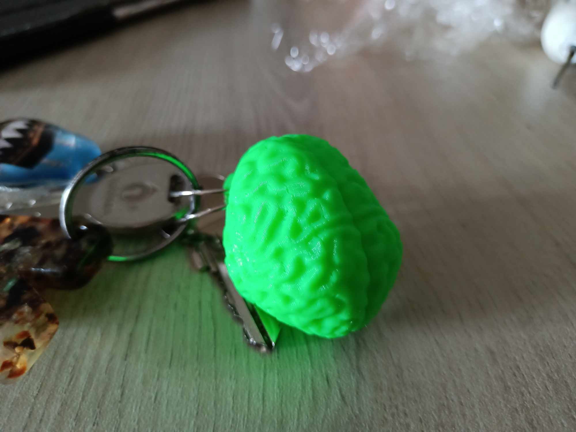 3D printed human brain free 3D model 3D printable | CGTrader
