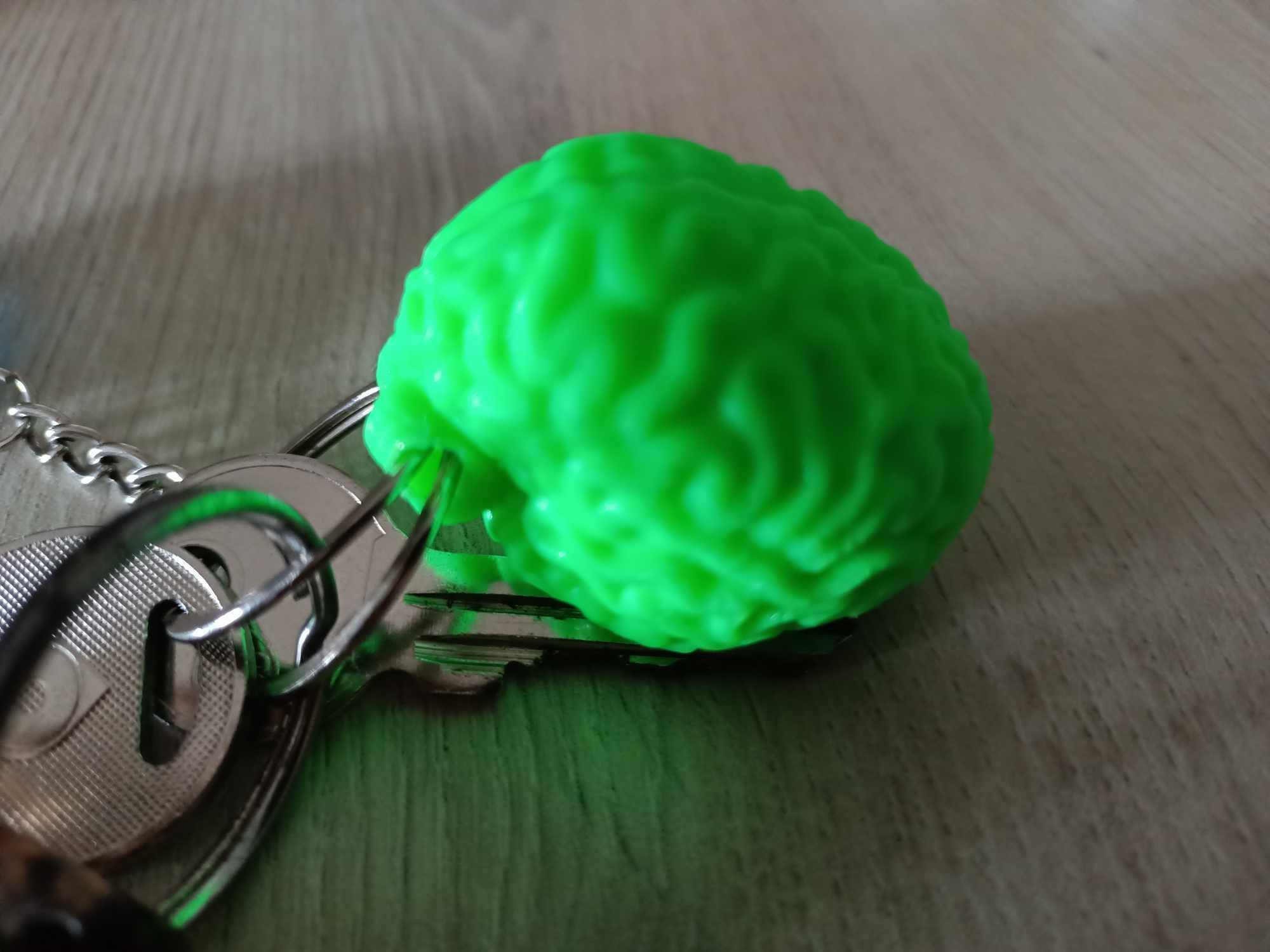 3D printed human brain free 3D model 3D printable | CGTrader