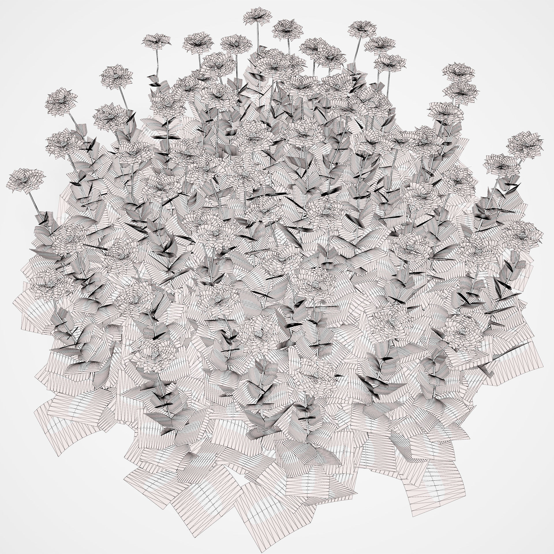 3D model Daisy Flowers Bush VR / AR / low-poly | CGTrader