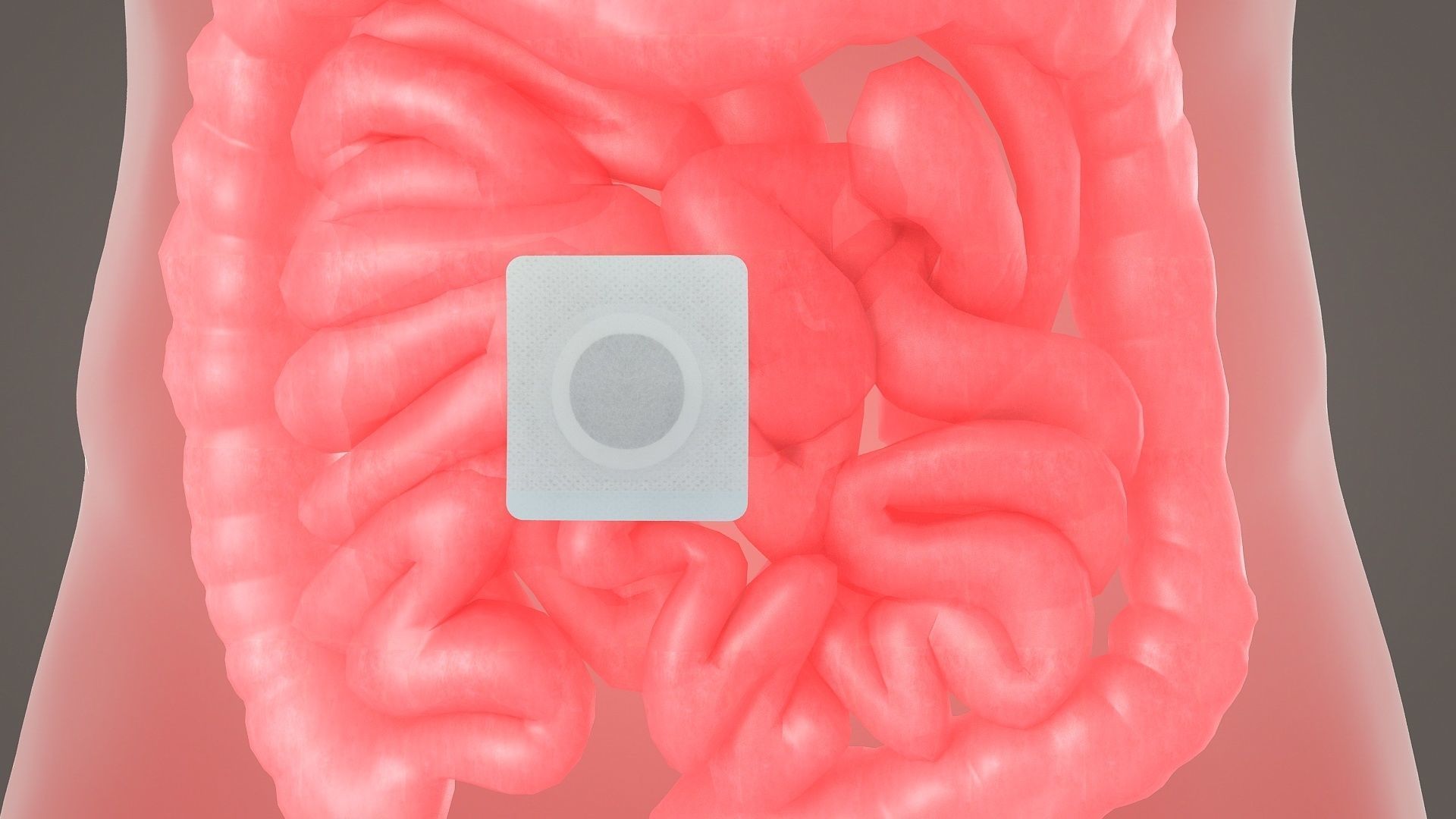 tomach patch magnetic patch animation dissection medical 3D model ...