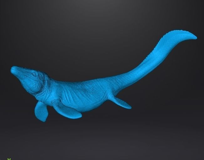 MOSASAURUS REALISTIC FIGURE MINIATURE MODEL DINOSAUR WILDLIFE 3D model ...