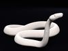 Ball Pythons Realistic Royal Python Pet Snake 3D Print Model 3D model ...