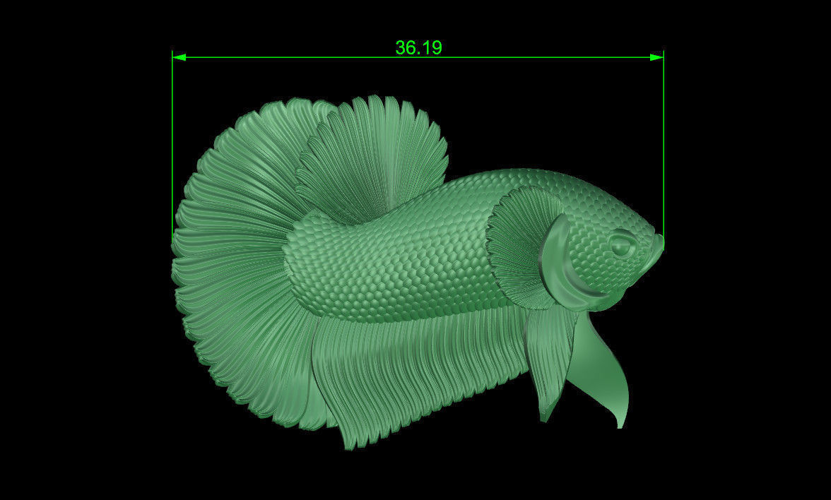 fish beta 3D model 3D printable | CGTrader