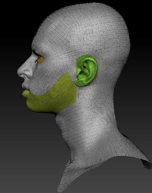 8 Head 3D Models Male And Female 3D model | CGTrader