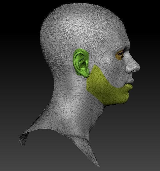 8 Head 3D Models Male And Female 3D model | CGTrader