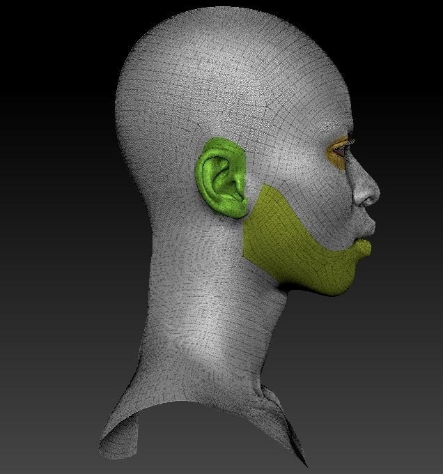 8 Head 3D Models Male And Female 3D model | CGTrader