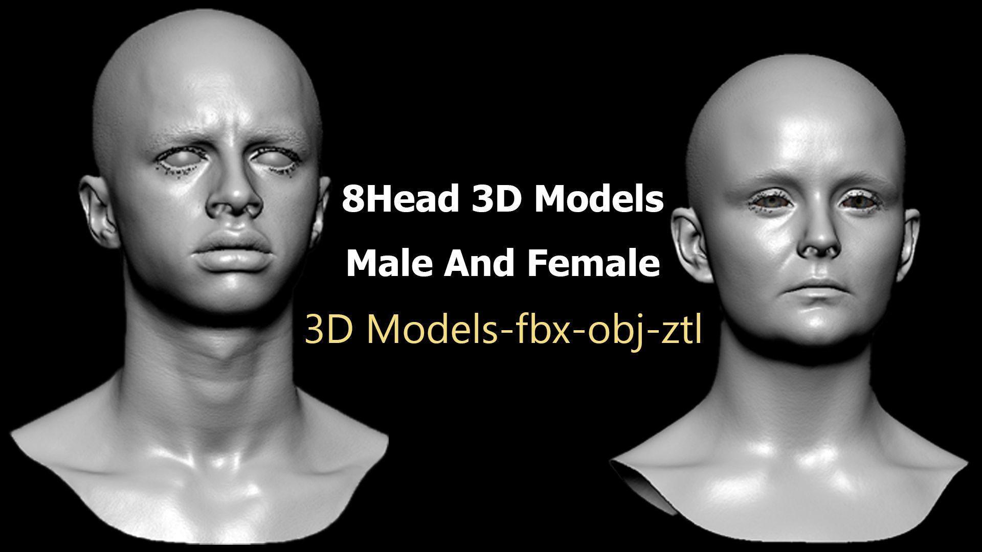 8 Head 3D Models Male And Female 3D model | CGTrader