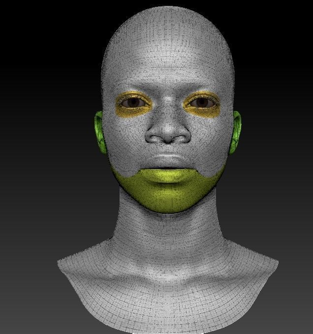 8 Head 3D Models Male And Female 3D model | CGTrader