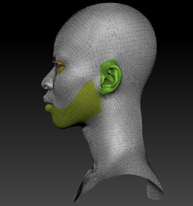 8 Head 3D Models Male And Female 3D model | CGTrader