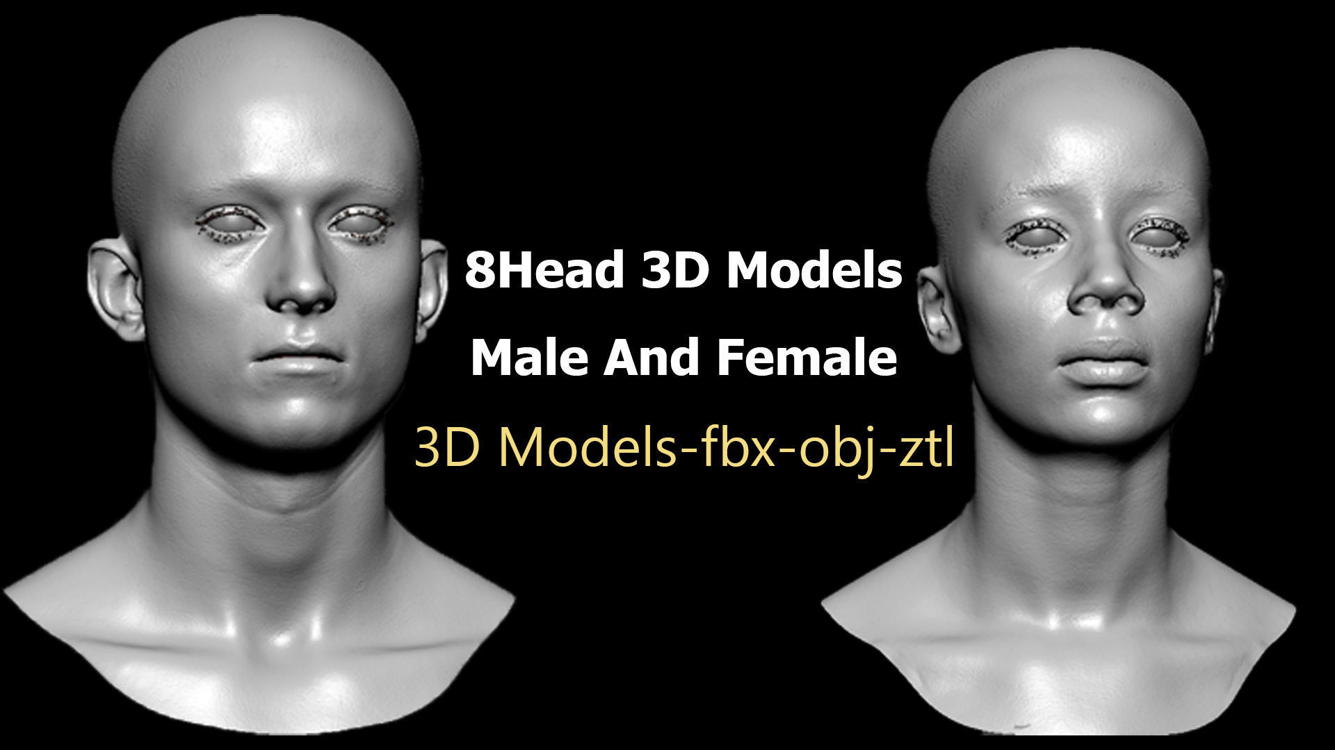 8 Head 3D Models Male And Female 3D model | CGTrader